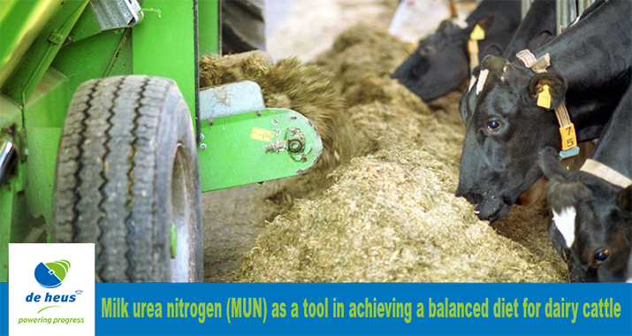 Milk urea nitrogen (MUN) as a tool in achieving a balanced diet for ...