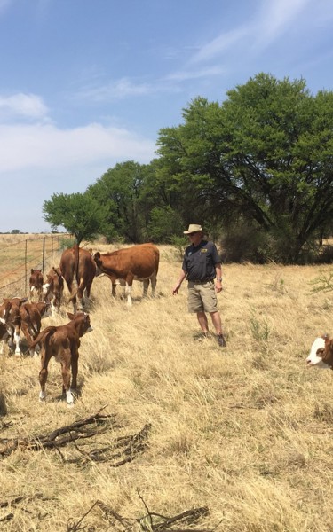Johan Styger - Stud Breeder of the year