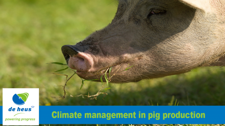 Climate management in pig productions